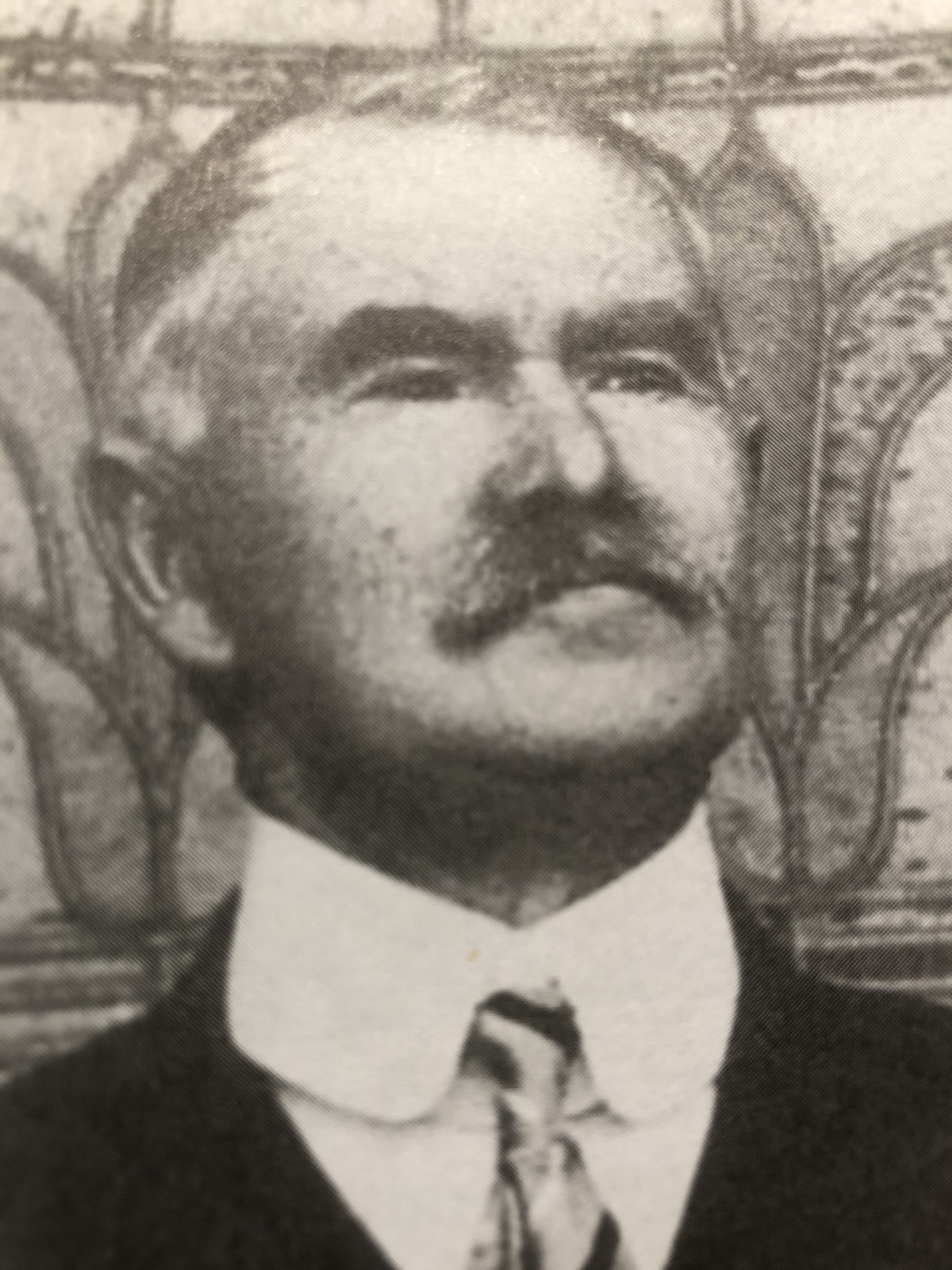 TIME: The Bradshaws/ Gwion Gwion | mcraeblog